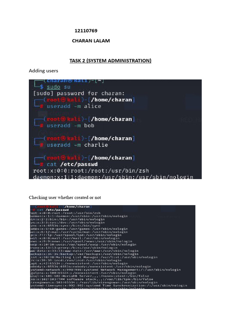 INT 249 Task 2 - 12110769 | PDF