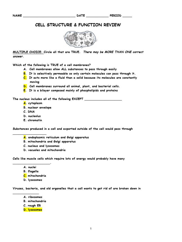 cell structure _ function review with answers | PDF | Cell (Biology ...