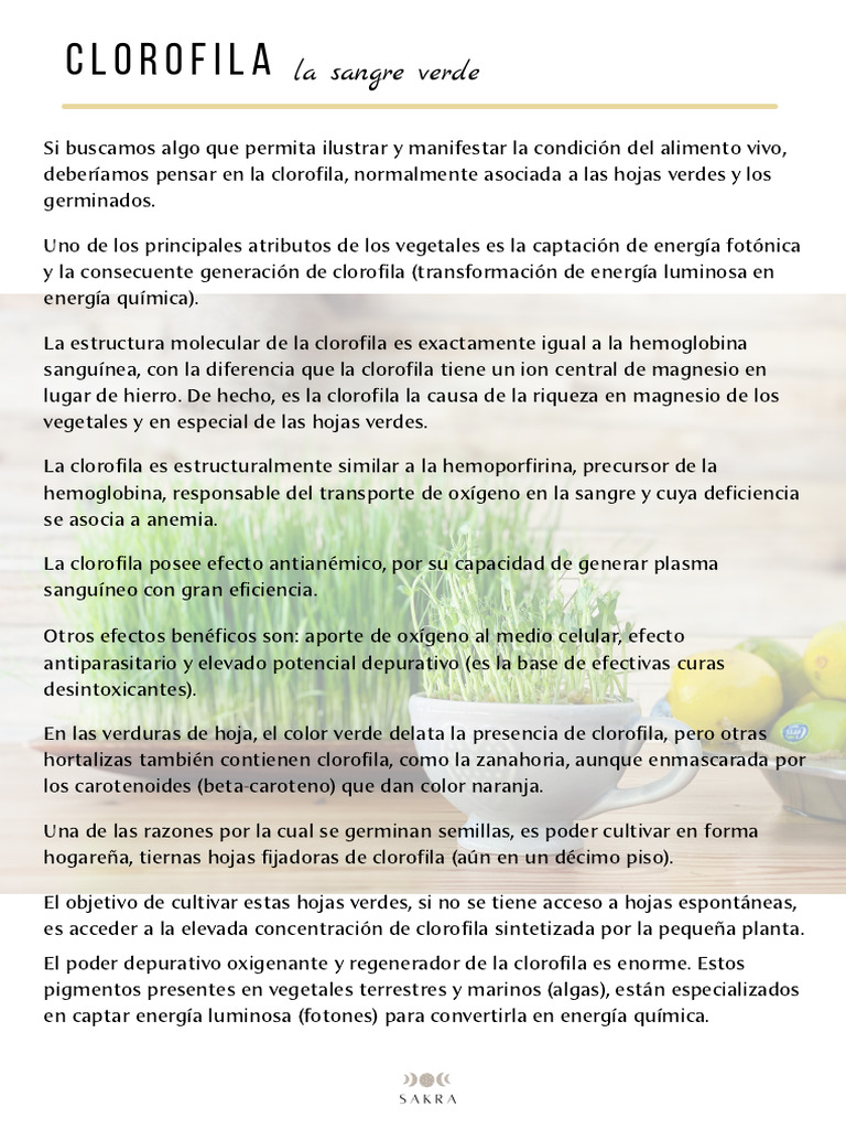 Beneficios de la clorofila en alimentos | PDF | Clorofila | Plantas