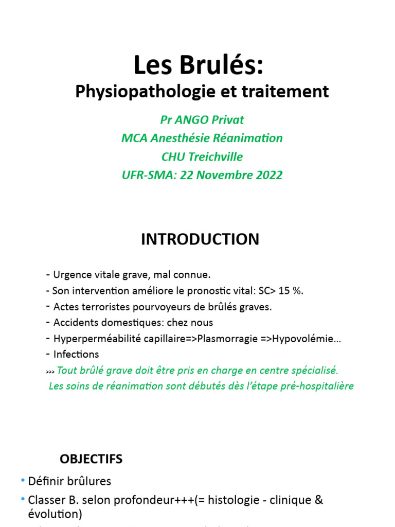 Brulure ANGO | PDF | Brûlure | Vaisseau sanguin