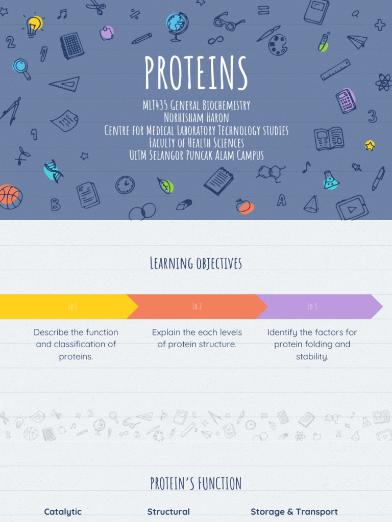 L3 Proteins | PDF | Protein Structure | Beta Sheet