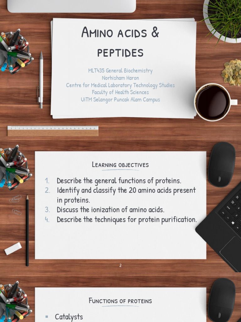 L2 - Amino Acids and Peptides | PDF | Amino Acid | Acid