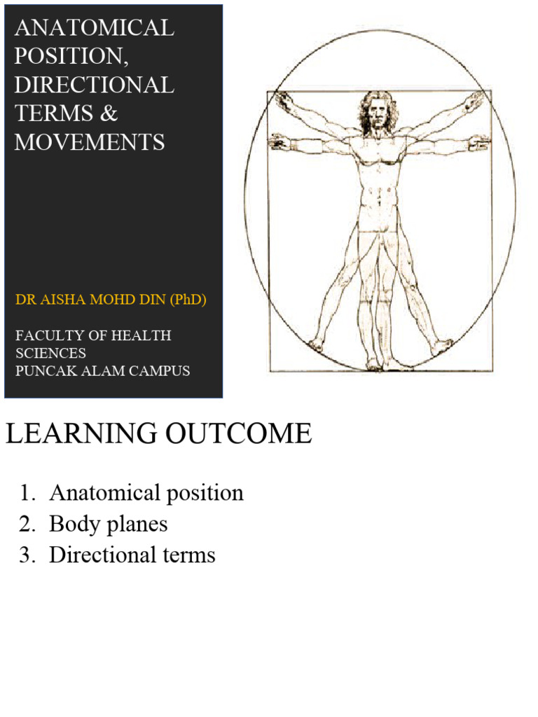 Anatomical Position and Directional Terms | PDF | Anatomical Terms Of ...