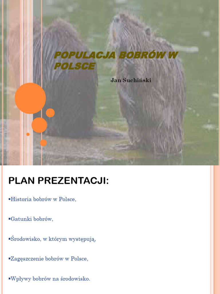 Populacja Bobrow W Polsce | PDF