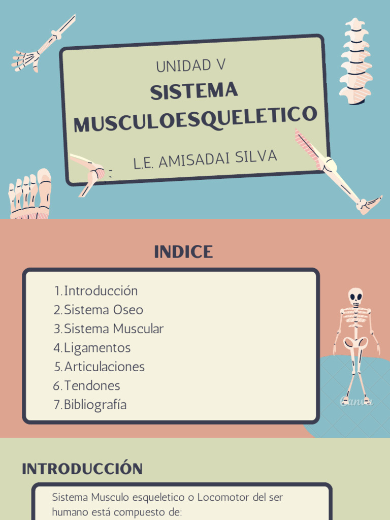 Iii Sistema Musculoesqueletico Pdf Esqueleto Hueso