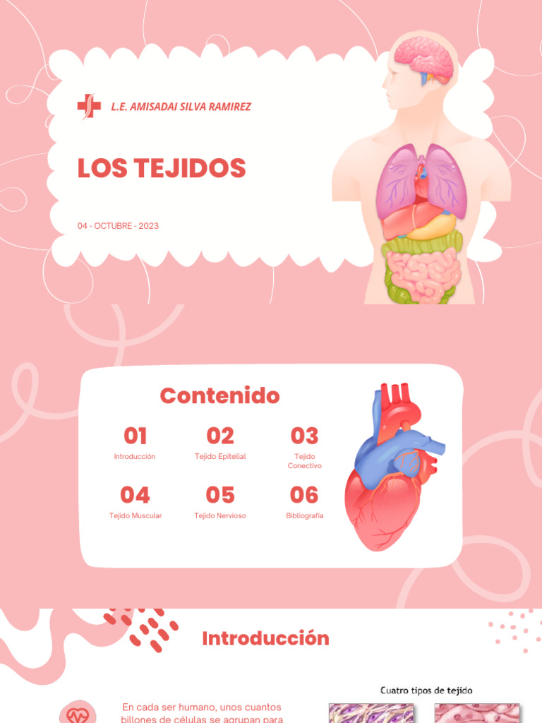 Iv. Tejidos | PDF | Epitelio | Músculo