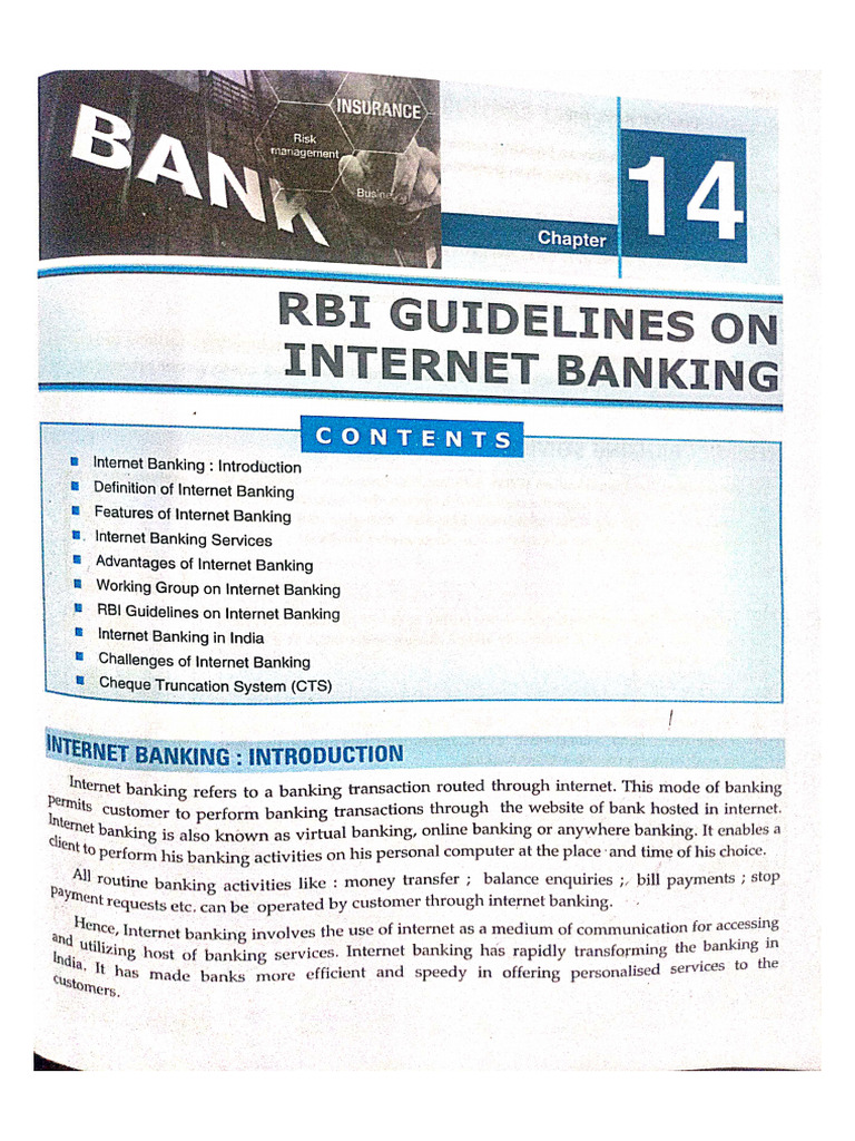 Rbi Guidelines On Internet Banking | PDF
