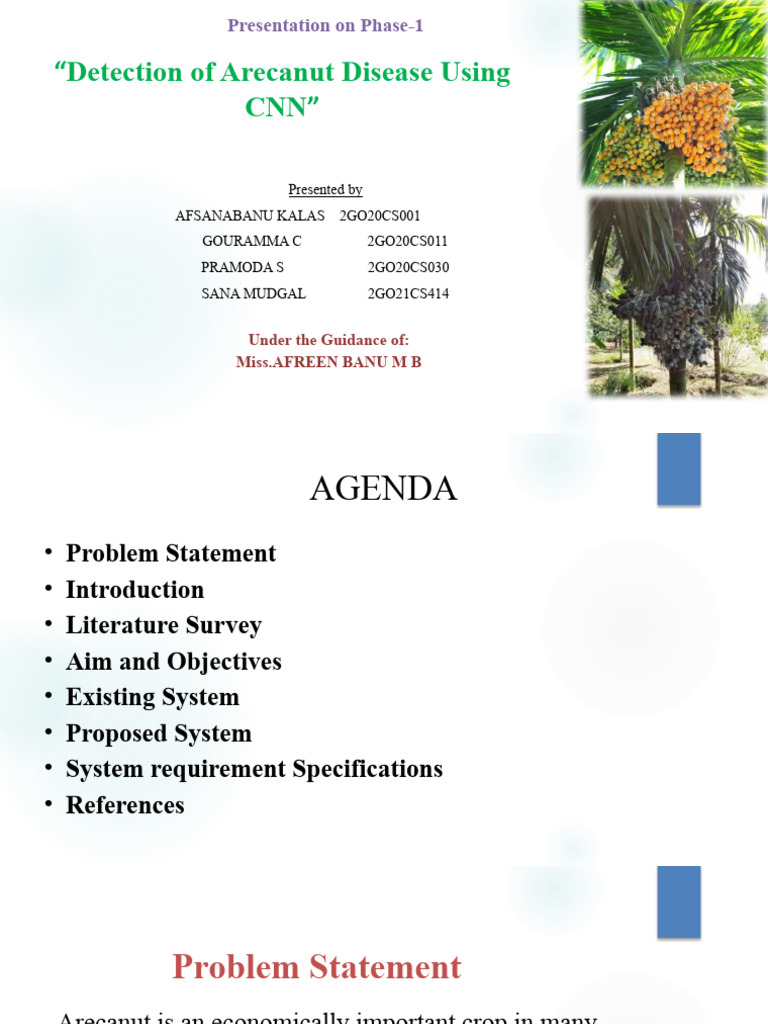 Presentation of Arecanut-1 | PDF | Deep Learning | Computing