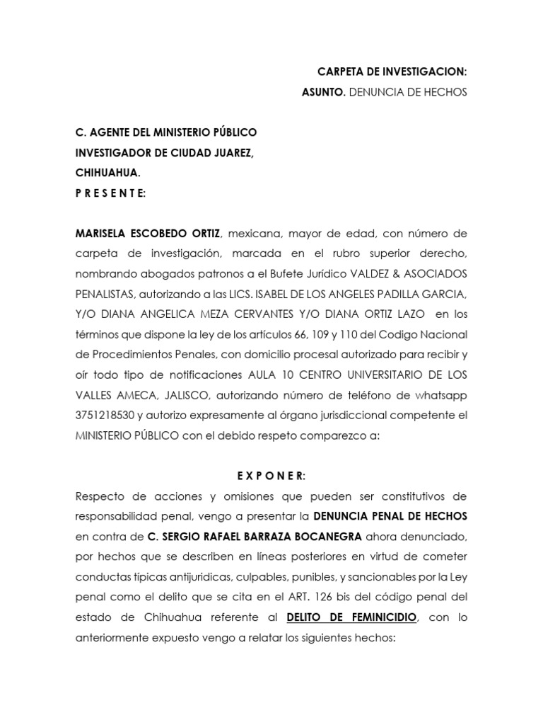 Denuncia - Rubi Frayre Escobedo | PDF | Homicidio | Crímenes