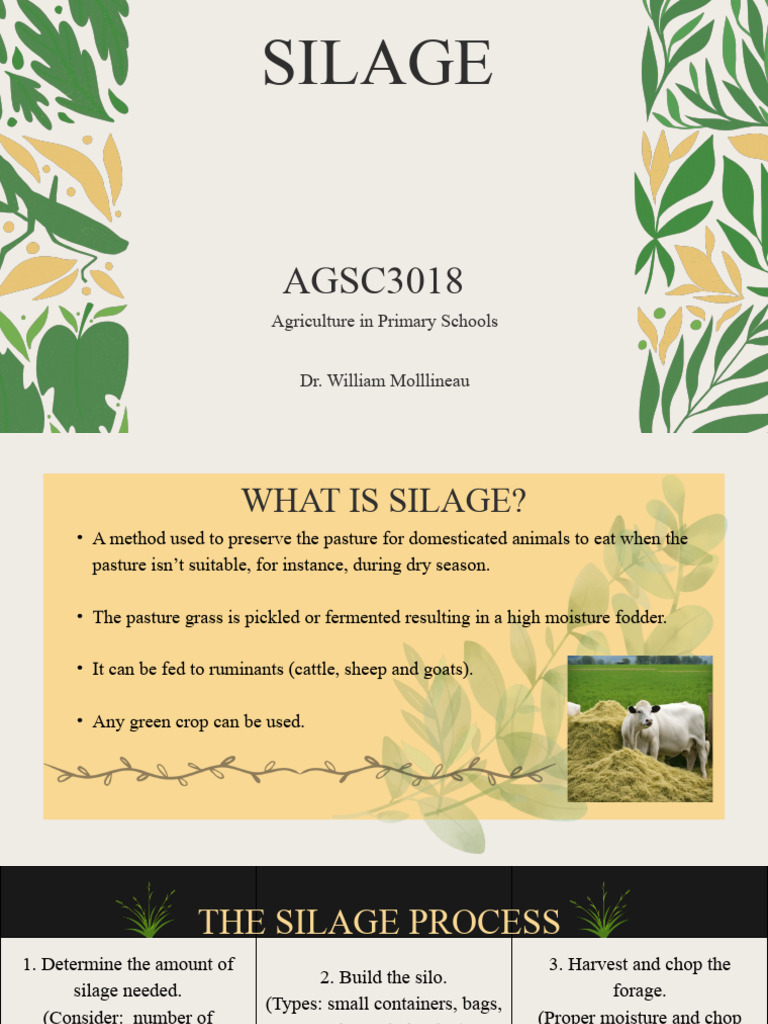Silage | PDF