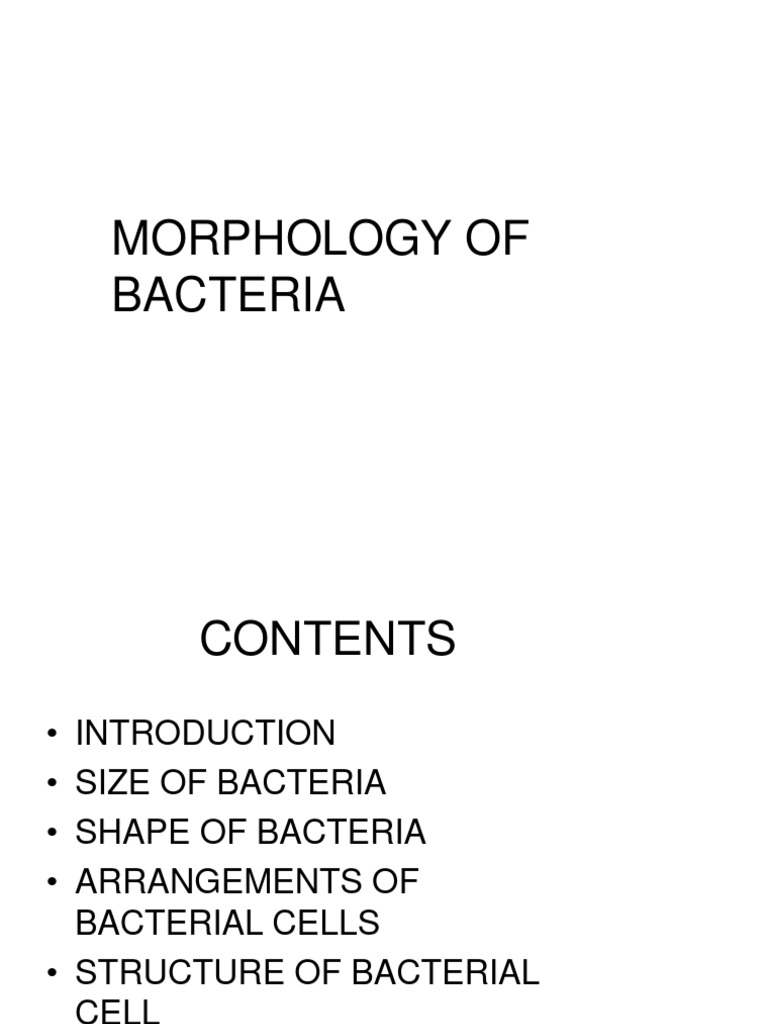 Bacterial Morphology Explained | PDF | Bacteria | Cell (Biology)