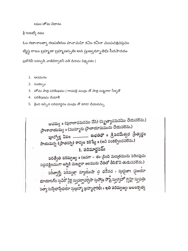 Laghu Homa Procedure | PDF
