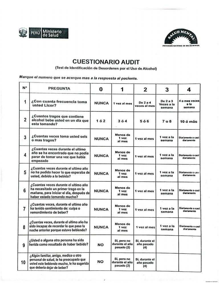 Tamizaje Audit | PDF