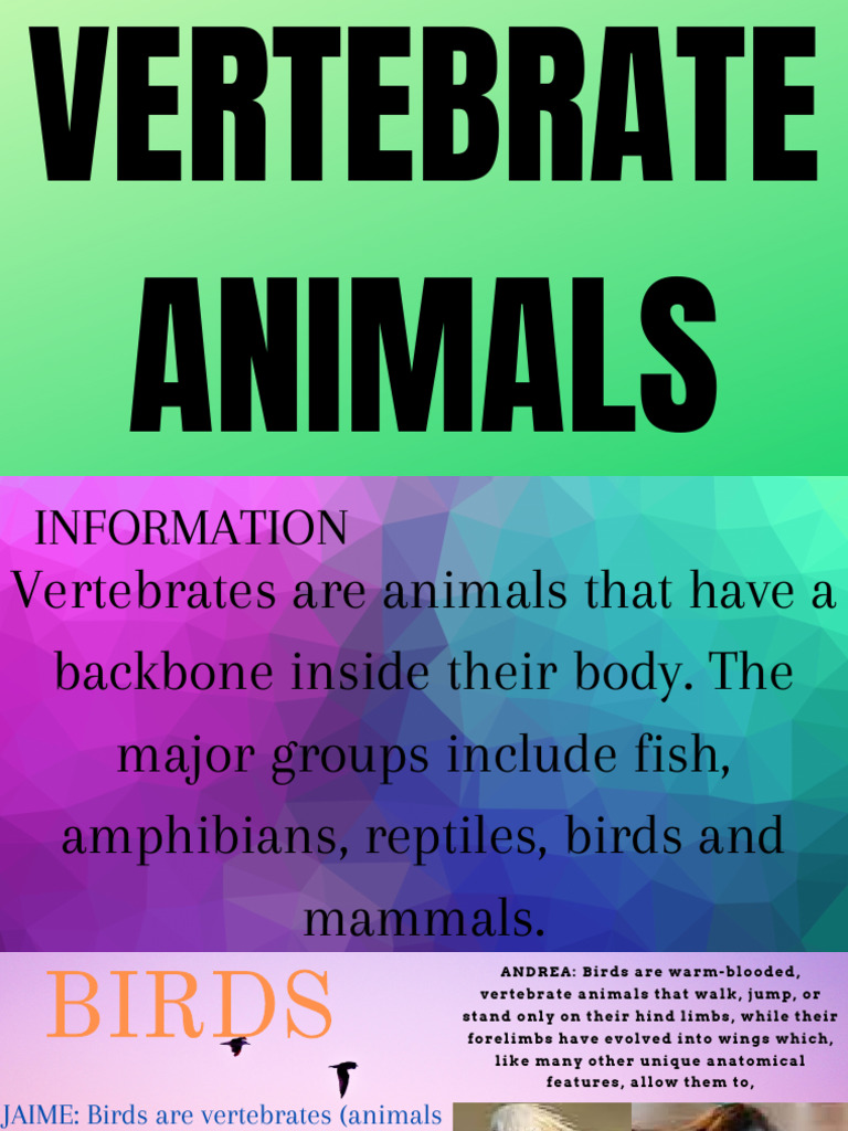Vertebrate Animals | PDF | Science & Mathematics | Young Adult