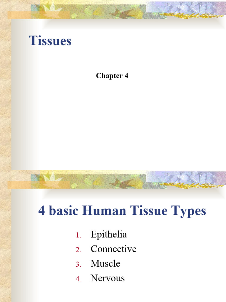 Tissues | PDF | Muscle | Tissue (Biology)