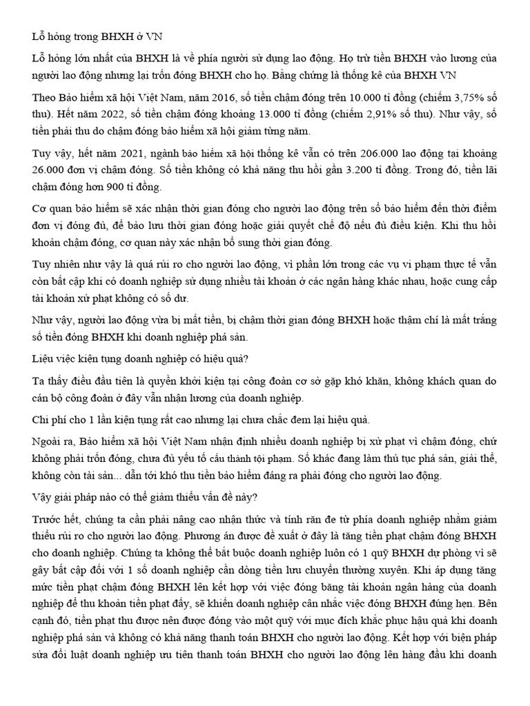 Lỗ hỏng trong BHXH ở VN | PDF