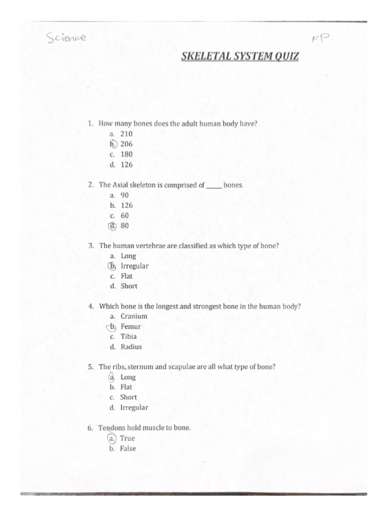 Kesav 04062024 | PDF