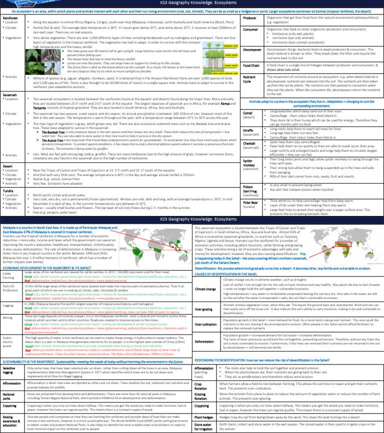 Ecosystems Knowledge Organiser | PDF | Rainforest | Deforestation
