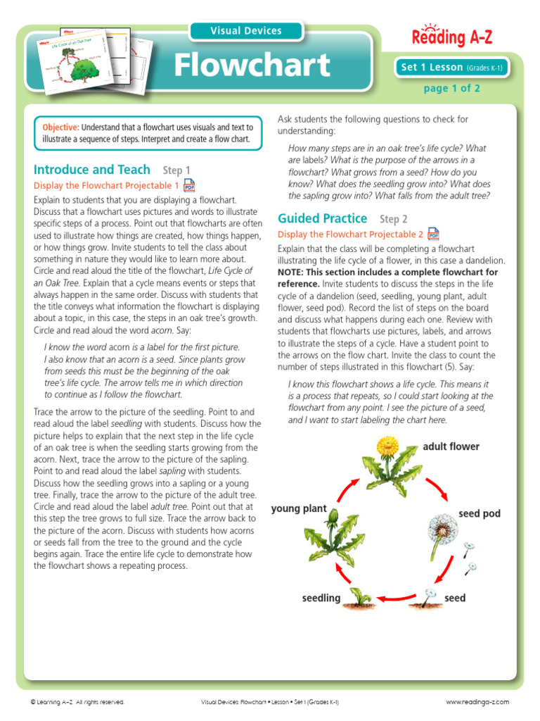 gk-1 Flowchart Teacher Lesson Plan | PDF | Human Communication