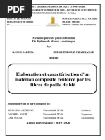 Structure Et Composition Chimique D'un Grain de Blé | PDF | Céréale | Blé