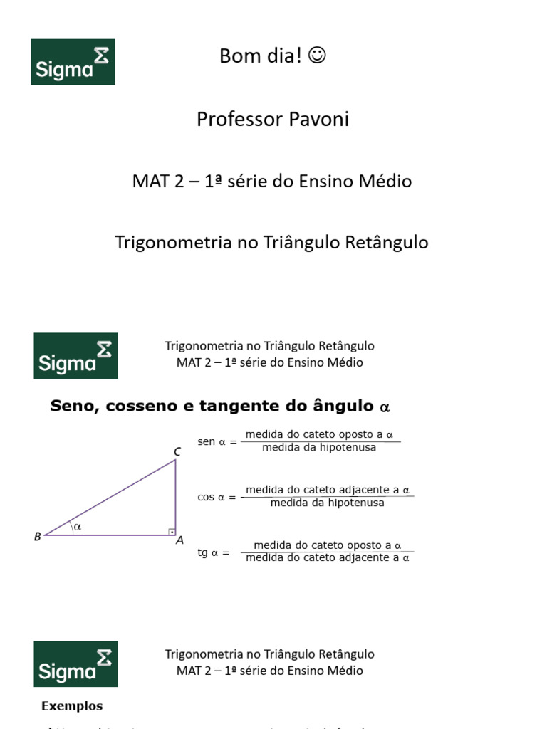 1º Ano Trigonometria No Triângulo Retângulo Pdf Trigonometria
