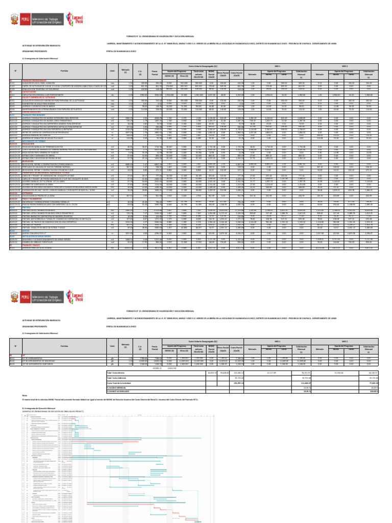Formato 12 A - 12 B | PDF