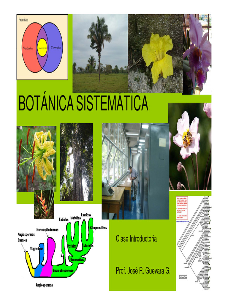 Botánica Sistemática General PPT | PDF | Taxonomía (biología) | Evolución