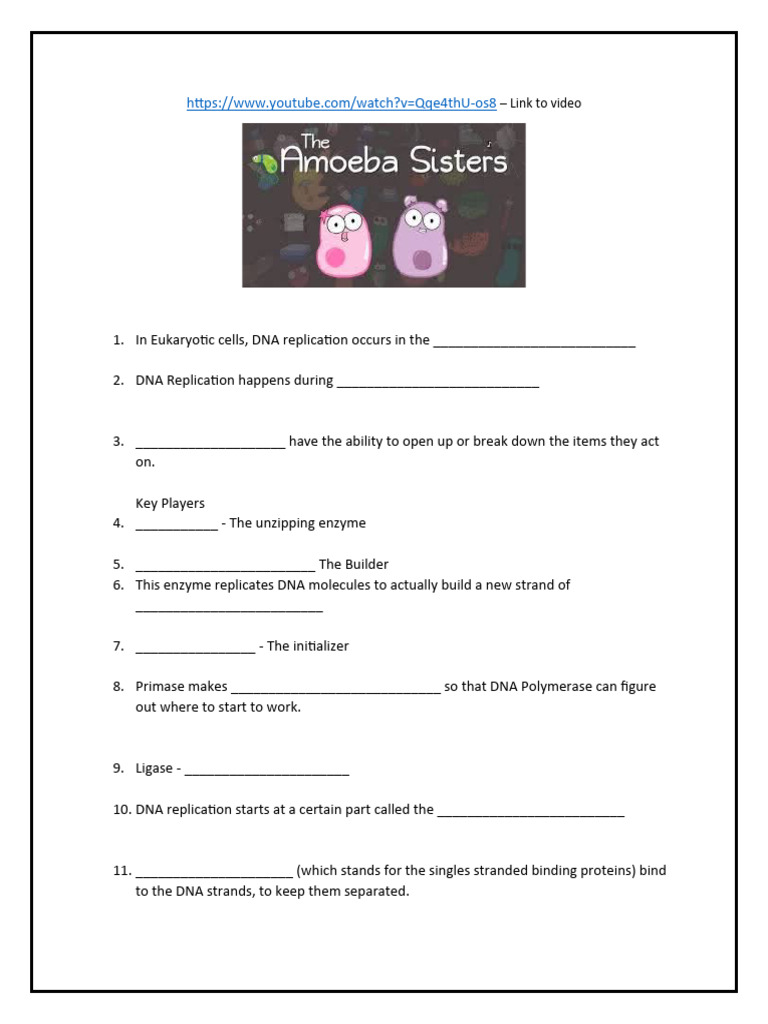 Ameba Sisters DNA Replication | PDF