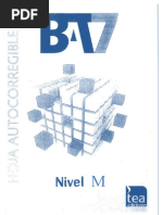 Bat7 Nivel S Resuelto | PDF