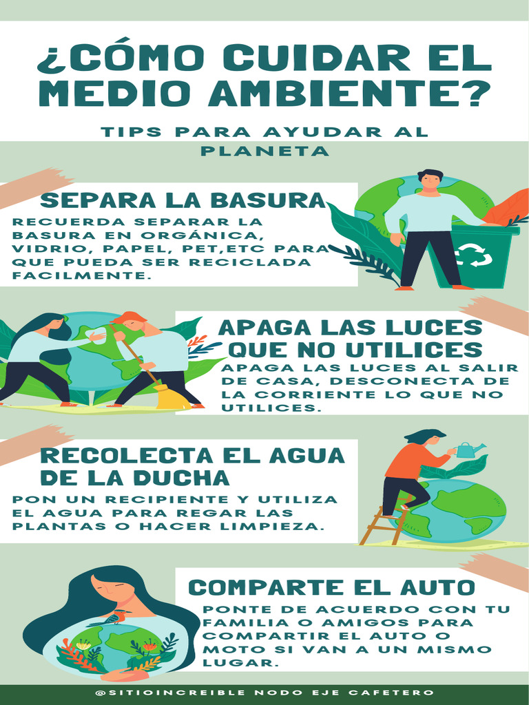 Infografia Cuidado Medio Ambiente Ilustrada Verde | PDF | Cocina ...