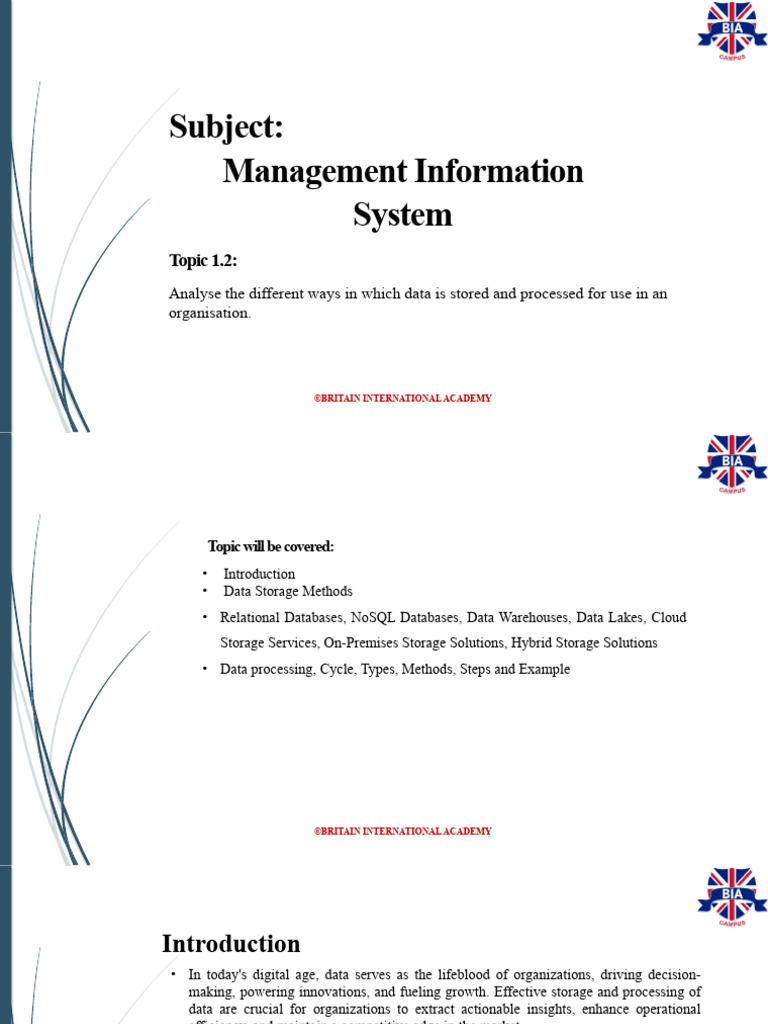 Lec2 (Analyse The Different Ways in Which Data Is Stored and Processed ...