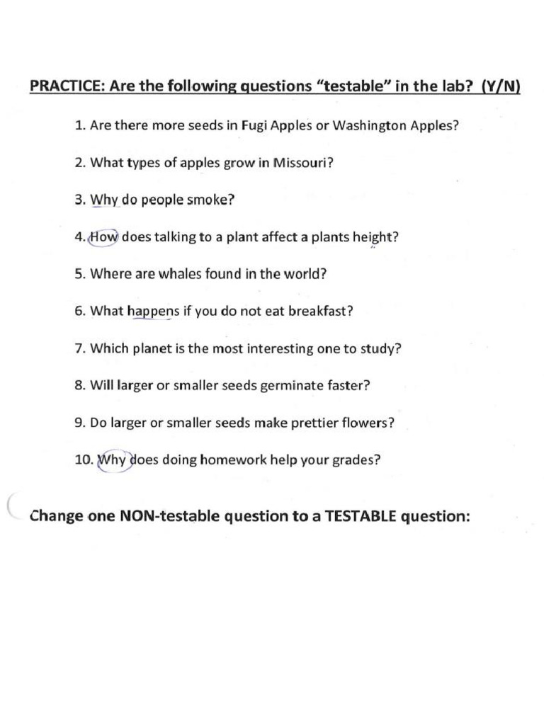 Testable Questions - Extended Learning Activity | PDF