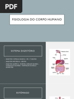 Quimo e Quilo | PDF | Digestão | Estômago