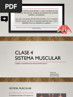 Músculos Del Torso | PDF | Sistema musculoesquelético | Anatomía humana