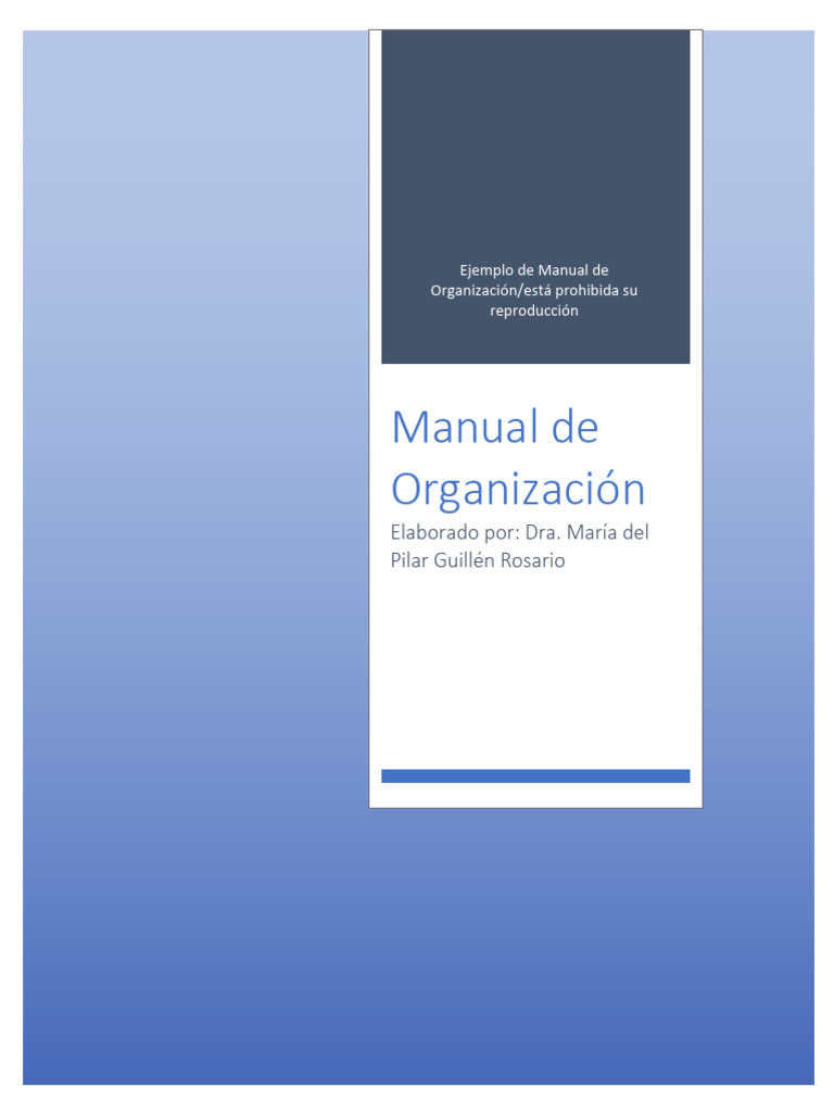 Ejemplo de Manual de Organización | PDF | Business | Contabilidad