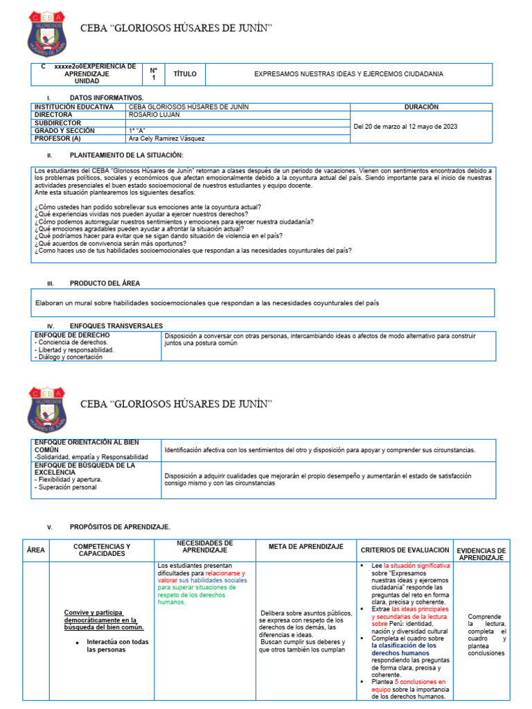 Experiencia de Aprendizaje N 1 EDA | PDF | Aprendizaje | Las emociones