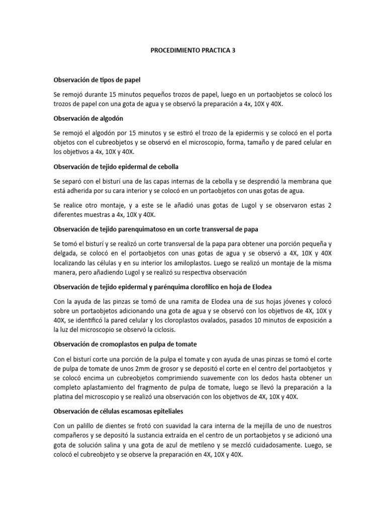 PROCEDIMIENTO PRACTICA 3 | PDF | Hoja | Biología