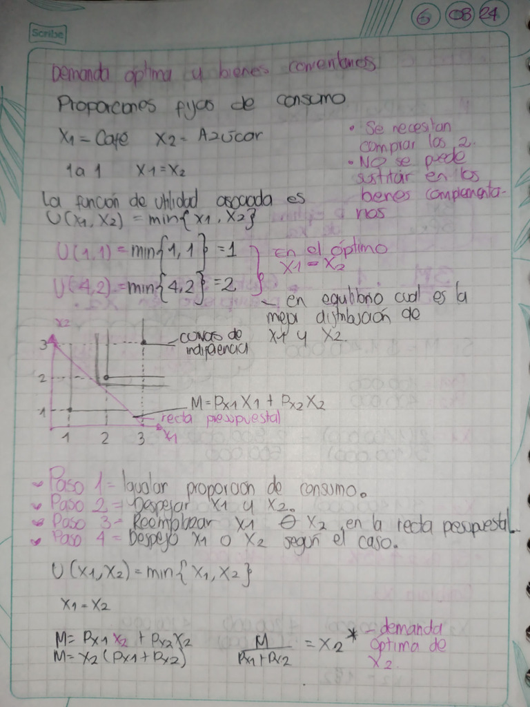 Bienes Complementarios | PDF