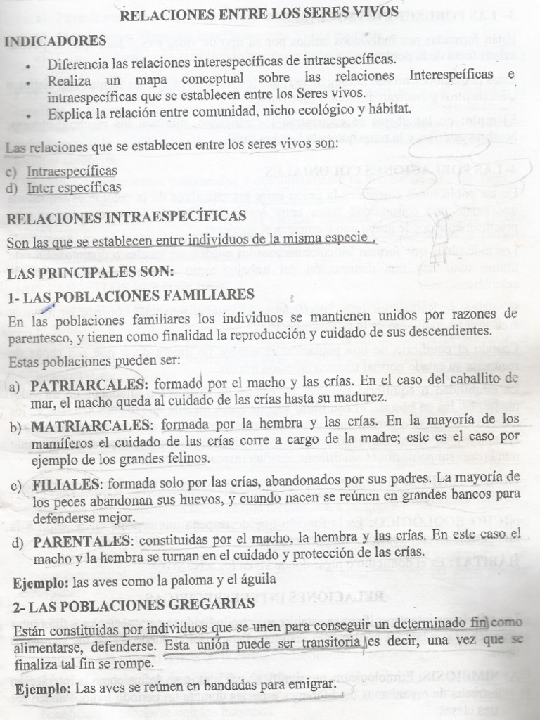 Organización Ecologica - Relaciones Entre Los Seres Vivos | PDF