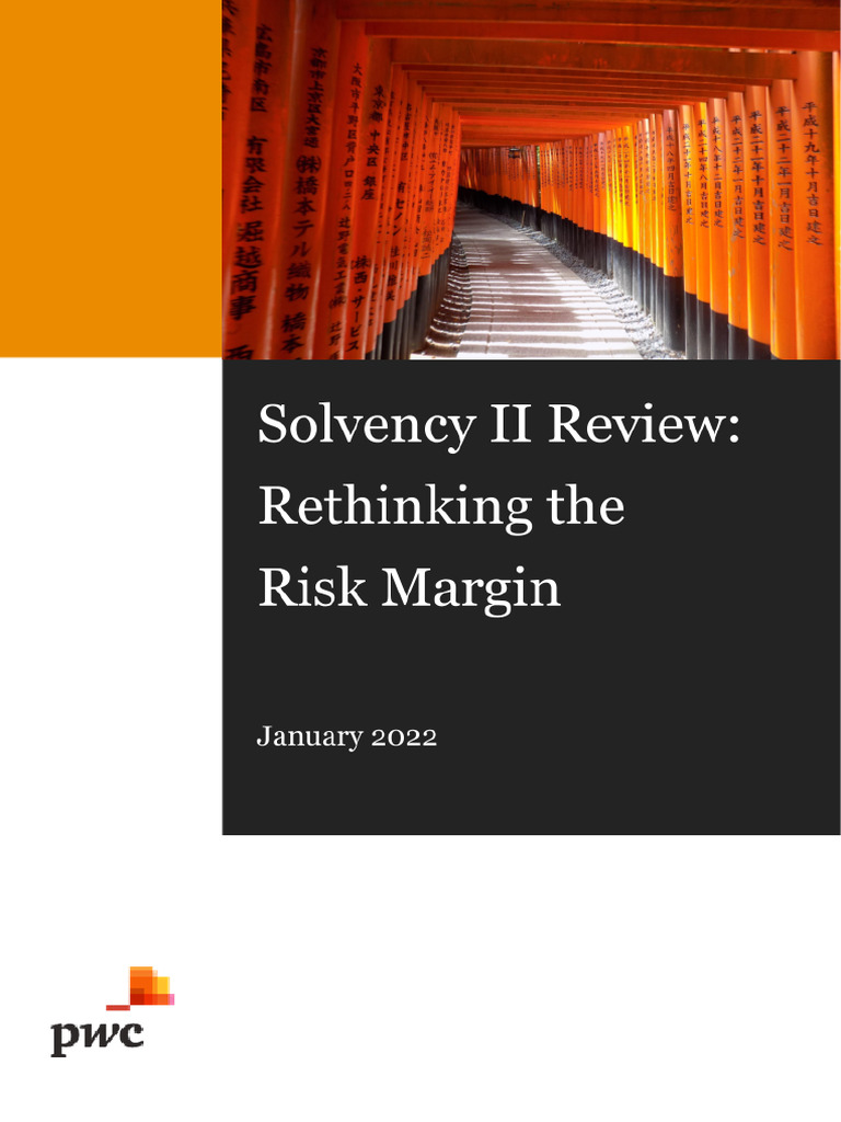 rethinking-the-solvency-ii-risk-margin | PDF | Mathematical And ...