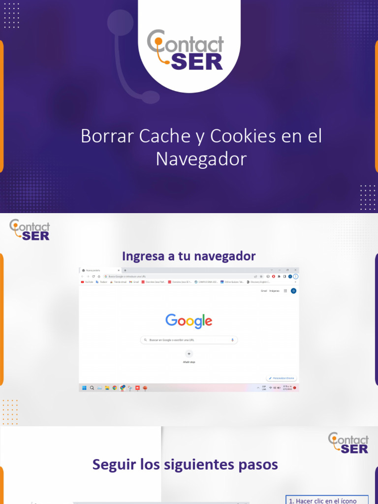 Borrado de Cookies y Datos de Navegacion | PDF | Informática