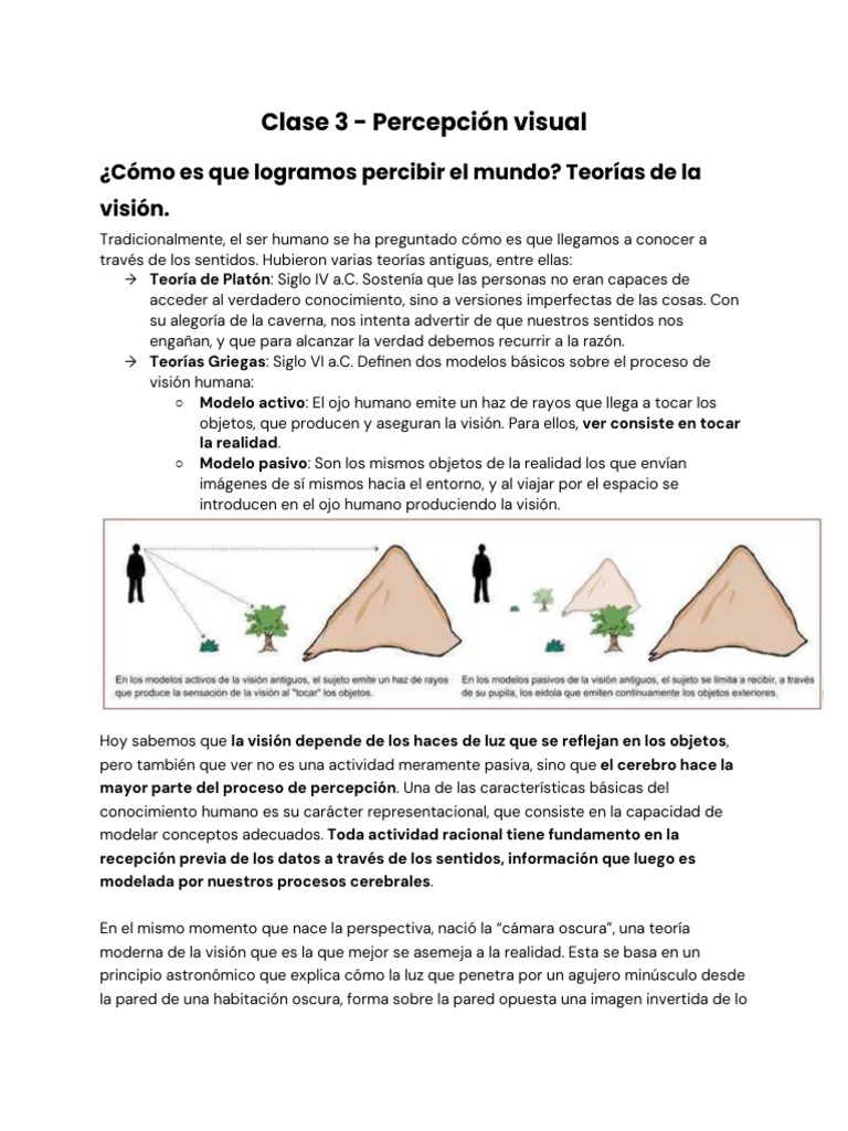 Clase 3 - Percepción Visual | Descargar gratis PDF | Percepción | Percepción visual