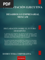 Ejemplo Presentacion Ejecutiva | PDF