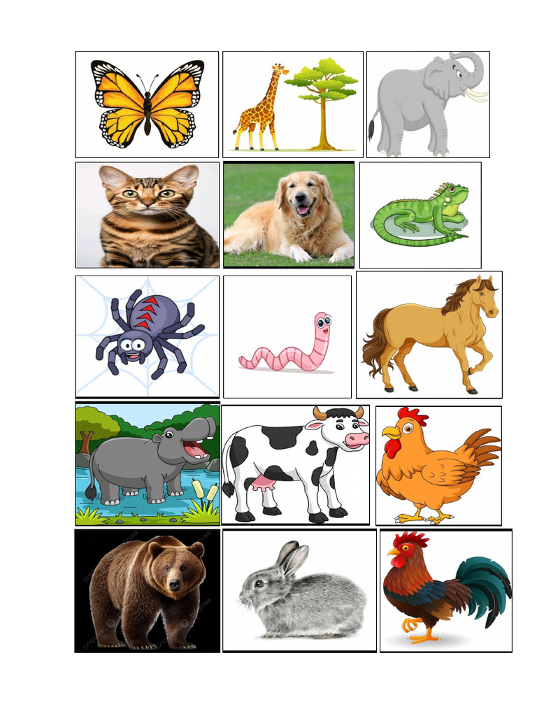 Dibujo de Animales | PDF