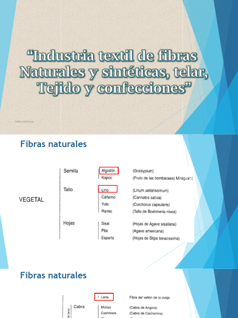 Clase 10 Urm PDF | PDF | Seda | Fibra sintética