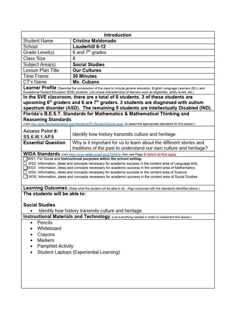 our culture lesson | PDF | Cognition | Education Theory