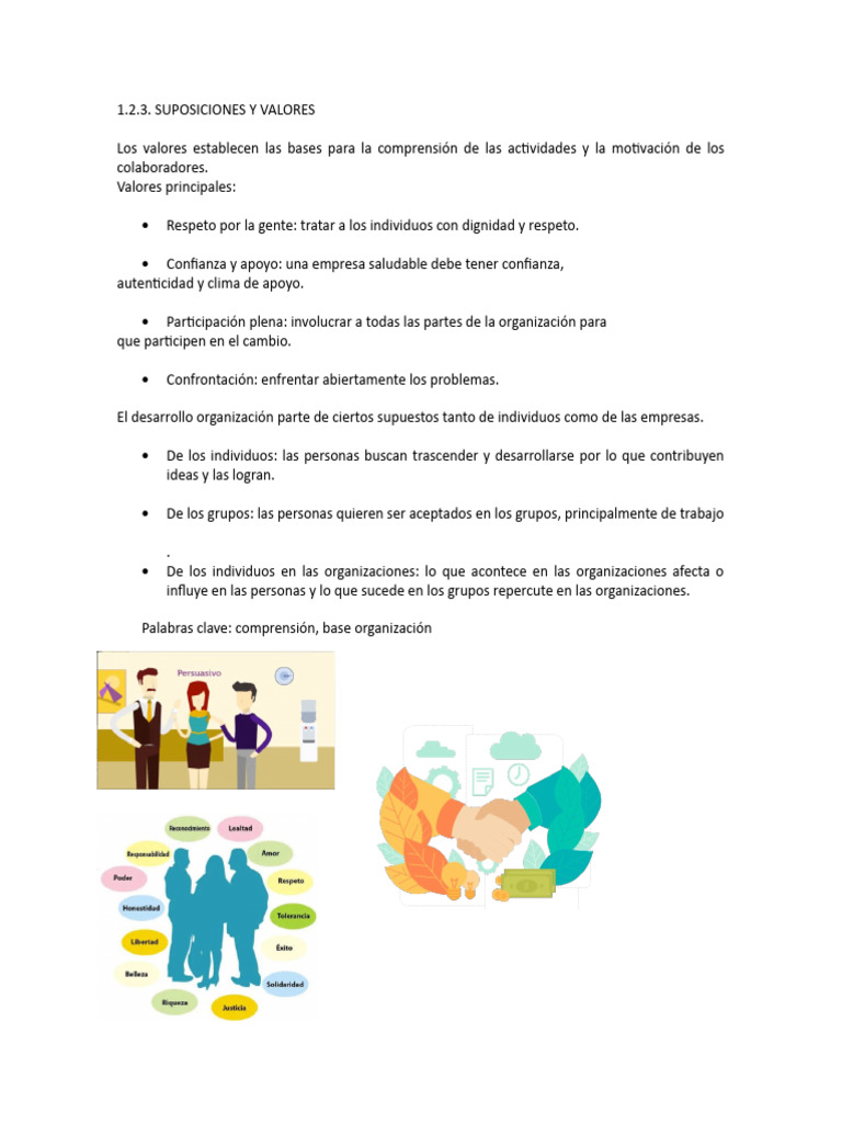 Suposiciones y Valores | PDF