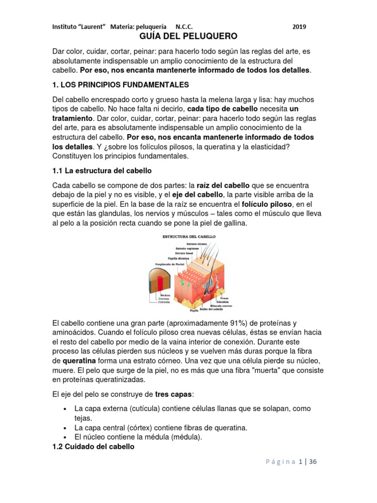 Peluqueria TEORIA | PDF | Pelo | Cabello rojo