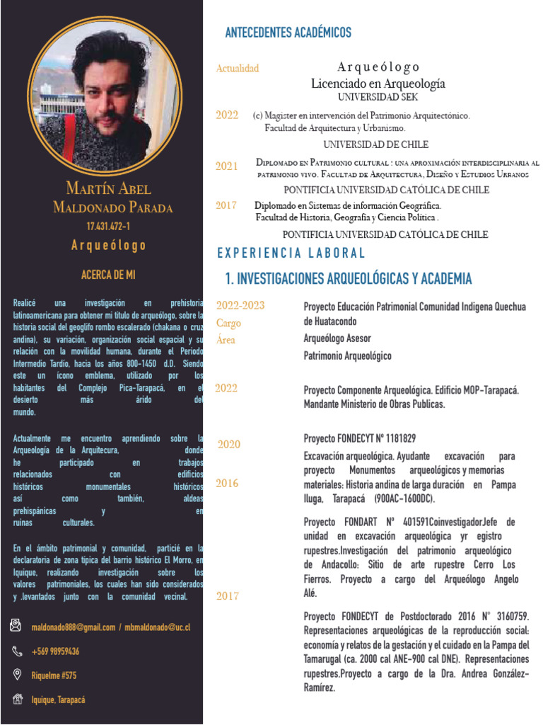 Curriculum Arqueólogo Martin Abel - Comprimido | PDF | Chile | Arqueología