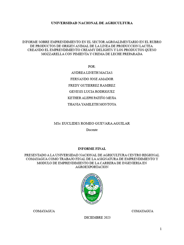 Informe Final Emprendimiento (1) - Compressed | PDF | Producto (Negocio) | Queso